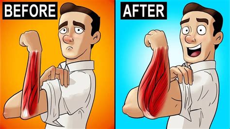 Best Forearm Dumbbell Exercises For Strength And Definition