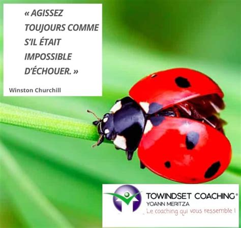 Towindset Coaching Yoann Meritza