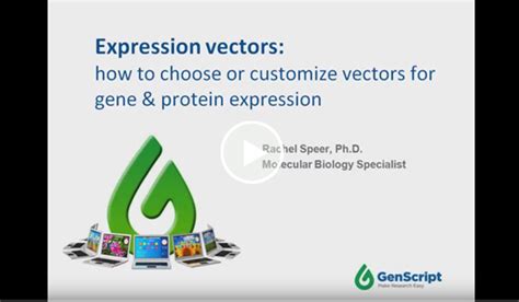 Gene And Protein Expression Vectors GenScript
