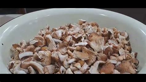 Самый простой и вкусный рецепт Маринования опята по дамашнему Лесные грибы Youtube