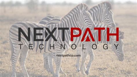 Dan Rodriguez On Linkedin Hi Linkedin We Are Looking For Several Developers Of All Stripes In