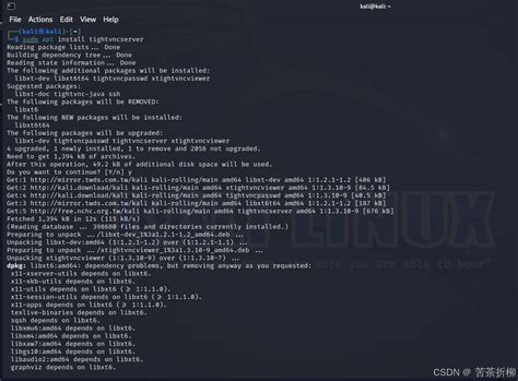 kali linux上安装远程桌面服务vnc kali vnc csdn博客