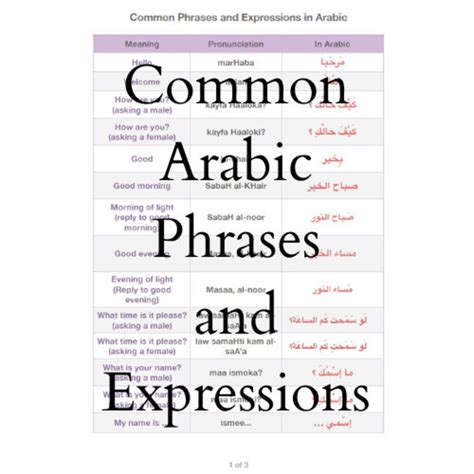 Pdf File Of Common Arabic Phrases And Expressions Learn Arabic Language Arabic Learning