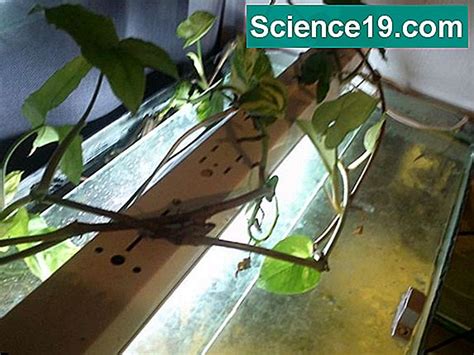 Ph του νερού και ρύπανση 💫 Επιστημονική Και Δημοφιλή Ιστοσελίδα Πολυμέσων 2025