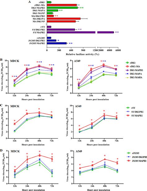 Viral Polymerase Activity And Growth Kinetics A Polymerase
