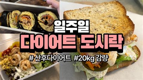 │vlog│일주일 다이어트 도시락 식단 산후 다이어트 식단 출산 후 20kg 감량 Youtube