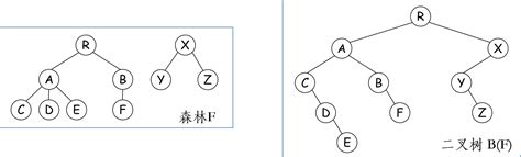 【数据结构】4 6树、森林和并查集 数据结构森林的定义 csdn博客