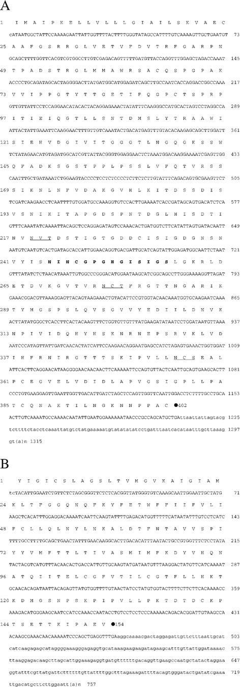 A B Nts1 And Nts2 Cdna Nucleotide Sequences And Amino Acid Sequences