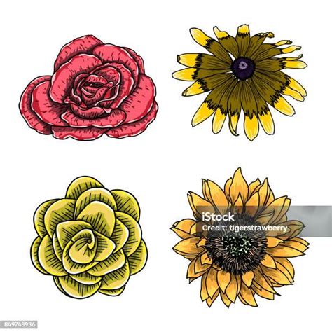 열 대 꽃 세트입니다 밝은 색상과 그리기 스타일에서 열 대 이국적인 및 국내 여름 꽃 컬렉션입니다 벡터 일러스트입니다 0명에 대한 스톡 벡터 아트 및 기타 이미지 Istock