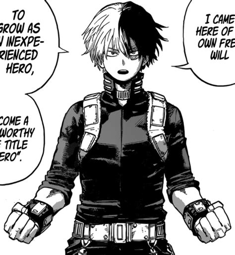 Todoroki Manga Panels Kropkowe Kocie