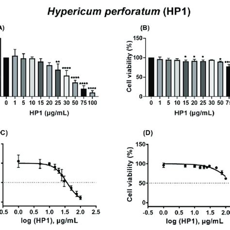 A Hypericum Perforatum B Hypericum Scabrum C Hypericum Origanifolium