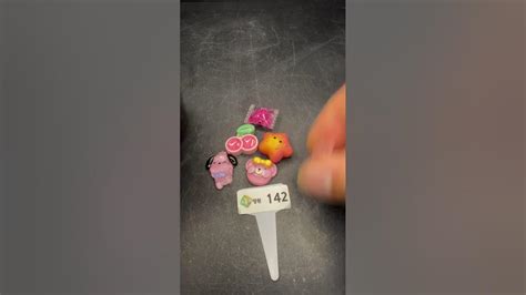 다육이정원 라이브 다육판매영상 다육판매방 다육판매하는곳 다육이 다육이를부탁해 다육이판매영상 다육이라이브 다육이화분 선인장 코덱스 코노피튬 Youtube