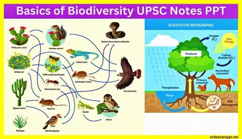 Basics Of Biodiversity Upsc Notes Ppt Slideshareppt