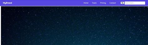 Responsive Navbar With Search Bar Box Using HTML CSS