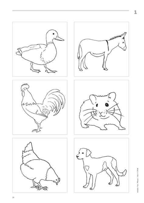 Шаблони за Карти Животни растения природа Специалните Деца