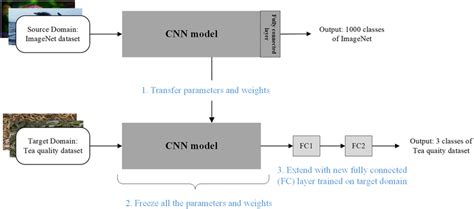 Schematic Diagram Of Fine‐tuning Convolutional Neural Network Model Download Scientific Diagram