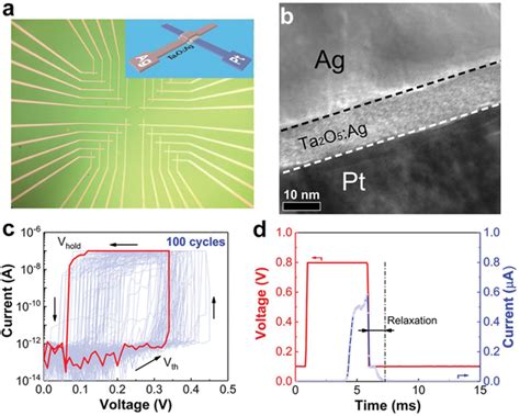 Microstructure And Switching Behavior Of The Agta2o5agpt Memristive Download Scientific