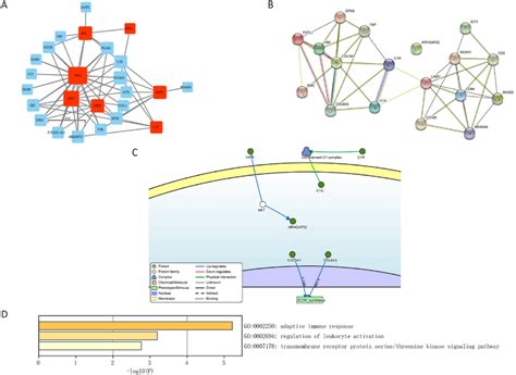 Regulatory Network Construction Of Tf Key Genes And Analysis Of Key