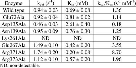 Enzymatic Rate Constants For Mt Alr Wild Type And Single Alanine