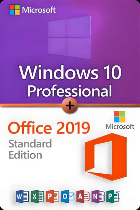 Microsoft Windows 10 Professional + Microsoft Office 2019 Standard ...