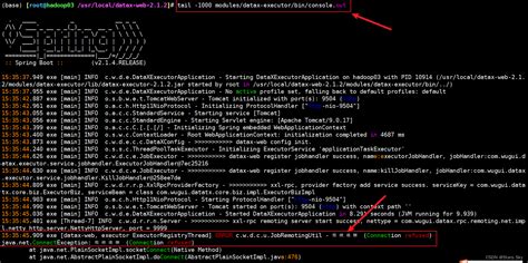 大数据 datax web 详细安装教程 datax web csdn博客