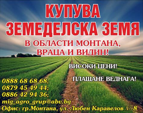 Купувам земя във Видин Купува имоти Видин Купувам земя в Видин и