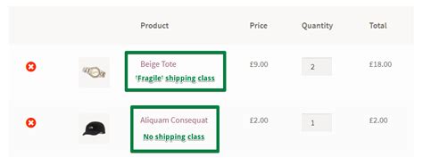 Shipping Classes In Woocommerce ️ Complete Guide 2022 Octolize