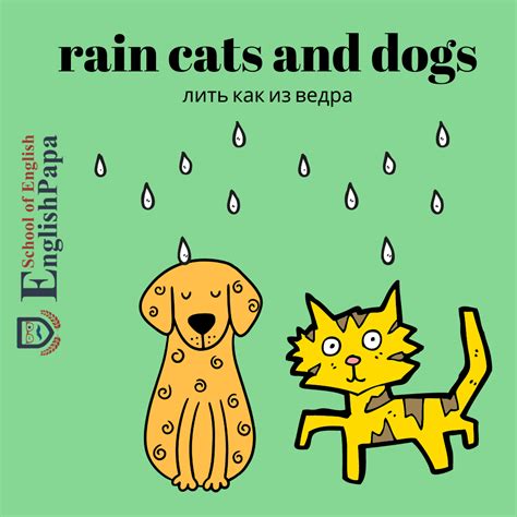 Школа английского языка Englishpapa в Запорожье Zaporizhia