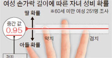 검지·약지 길이 비슷하면 딸 낳는대요