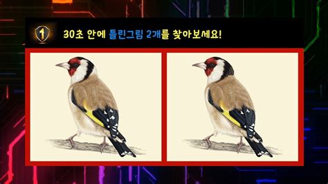 두뇌세포를 살려주는 틀린그림찾기 30초안에 틀린그림 2개를 찾아보세요 두뇌세포활성 치매예방 집중력향상 관찰력테스트