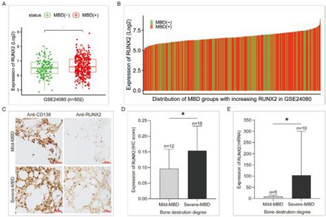 Runx2 Promotes The Suppression Of Osteoblast Function And Enhancement