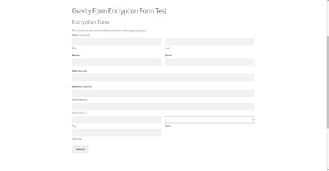 Gravity Forms Encryption Crosspeak