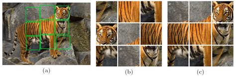Review — Unsupervised Learning Of Visual Representations By Solving Jigsaw Puzzles By Sik Ho