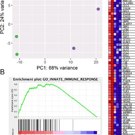 RNA Sequencing Results Comparing Gene Expression In Control Download Scientific Diagram
