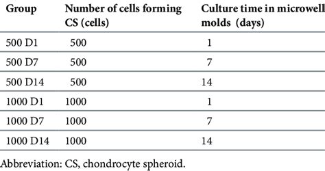 Grouping Based On The Cell Number Forming CS And Culture Time In