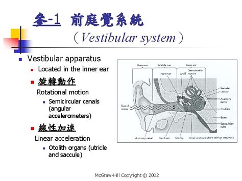 Static Visual Acuity N N