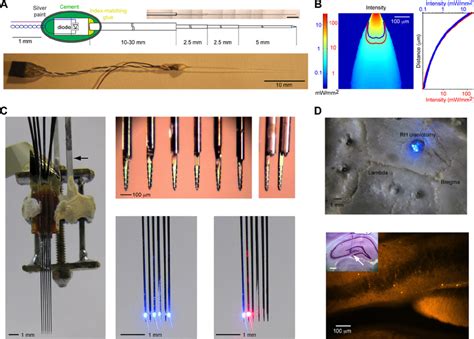 Multidiode Arrays Integrated With Multielectrode Arrays A Structure