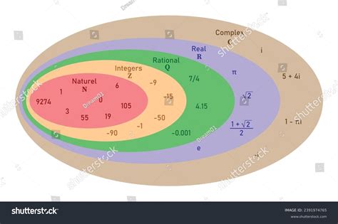 set complex numbers diagram mathematics natural stock vector royalty
