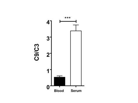 Complement Activation In A Aegypti Midgut Based On The Proportion Of Download Scientific