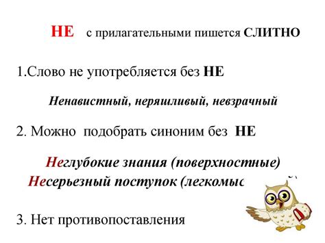 Слитное и раздельное написание НЕ с прилагательными Online Presentation