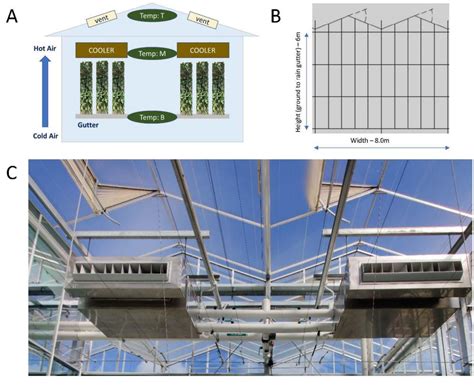 Figure 1 From Energy Minimisation In A Protected Cropping Facility Using Multi Temperature
