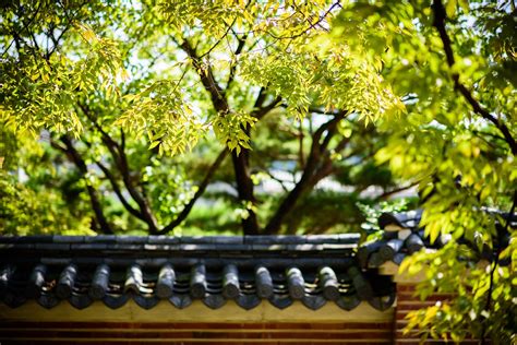 가을풍경 가을 가을햇살 Pixabay의 무료 사진 Pixabay