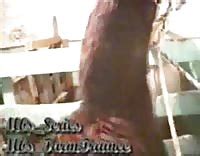 Llama Extreme Porn Video LuxureTV