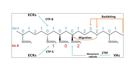 Theoretical Insights Into Midchain Radicals And Branching Characteristics In Solution