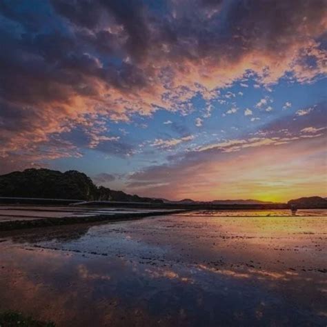 腾瑞云公司数字水印为aigc版权保护提供坚实屏障技术识别信息