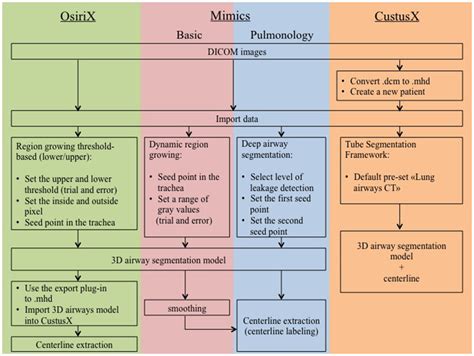 The Figure Shows A Flowchart Of Analysis Of Ct Data In Osirix Mbm