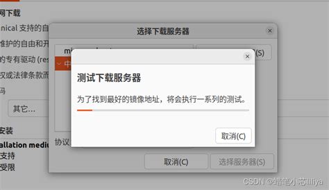 一篇搞定ubuntu 2204 下联网问题、 Ifconfig、net Tools不能用的问题（亲测可行仅供参考）无法定位软件包net