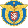 Czech Air Force 1995 1999