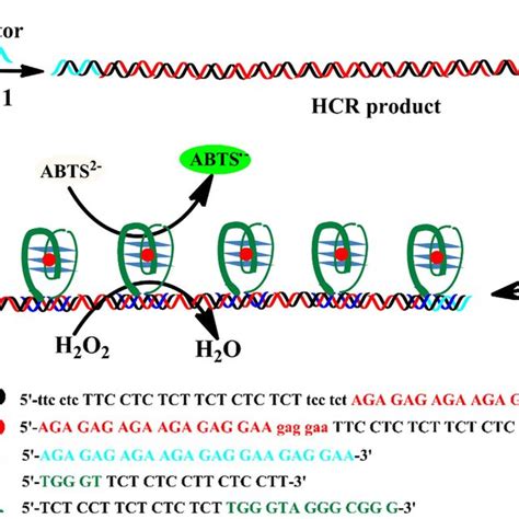The Generality Of The Proposed Method For Other Nucleic Acid Sequences Download Scientific