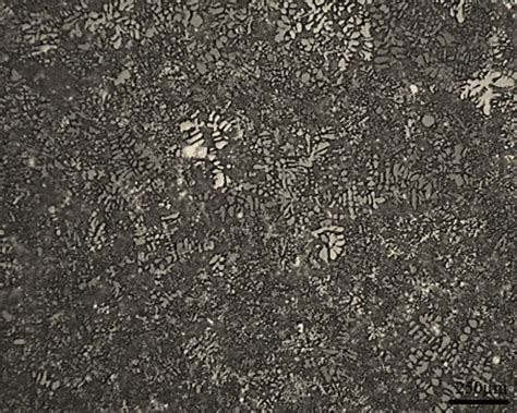 Typical Dendritic Grain Structure Of Cast Al Alloys Scale Shows 250 Mm